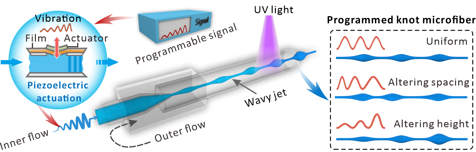 Programmable knot microfibers from piezoelectric microfluidics | Chaoyu ...